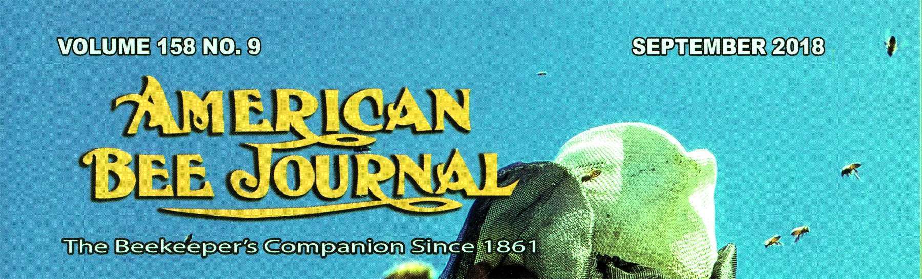 Beekeeping Filipino Style - Sweet Mountain Farm